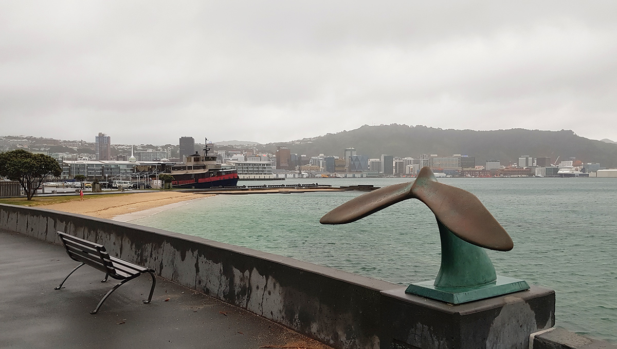 Wellington - ein Tag in Neuseelands Hauptstadt | reisen-und-blog.de