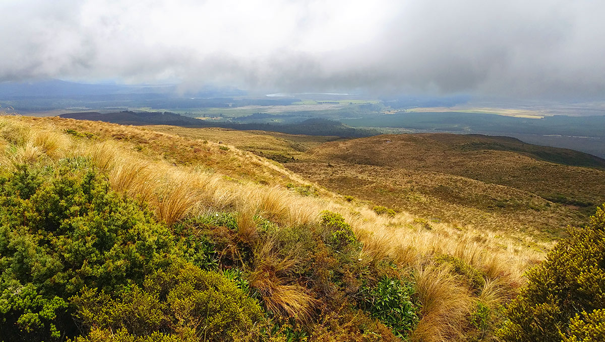 Tongariro Alpine Crossing – Neuseelands bekanntester Wanderweg | reisen ...