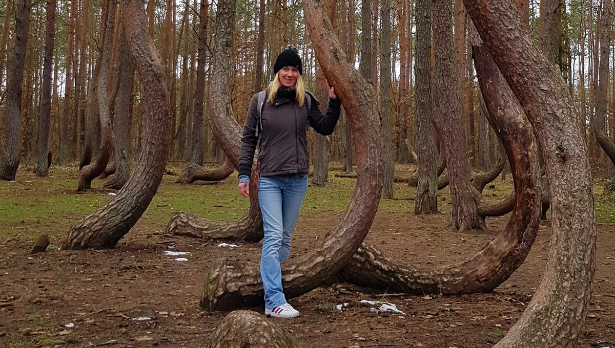 Krummer Wald Polen Anfahrt